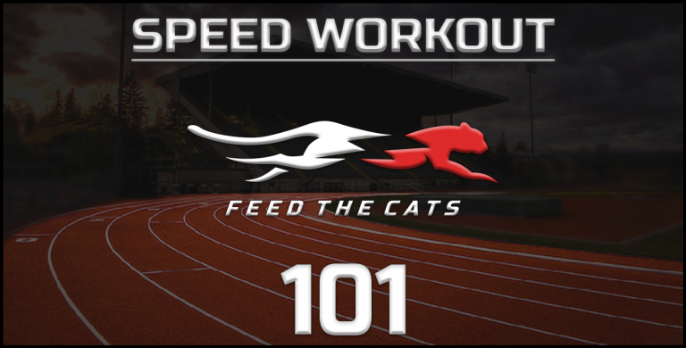 Holler Shop – Track Football Consortium